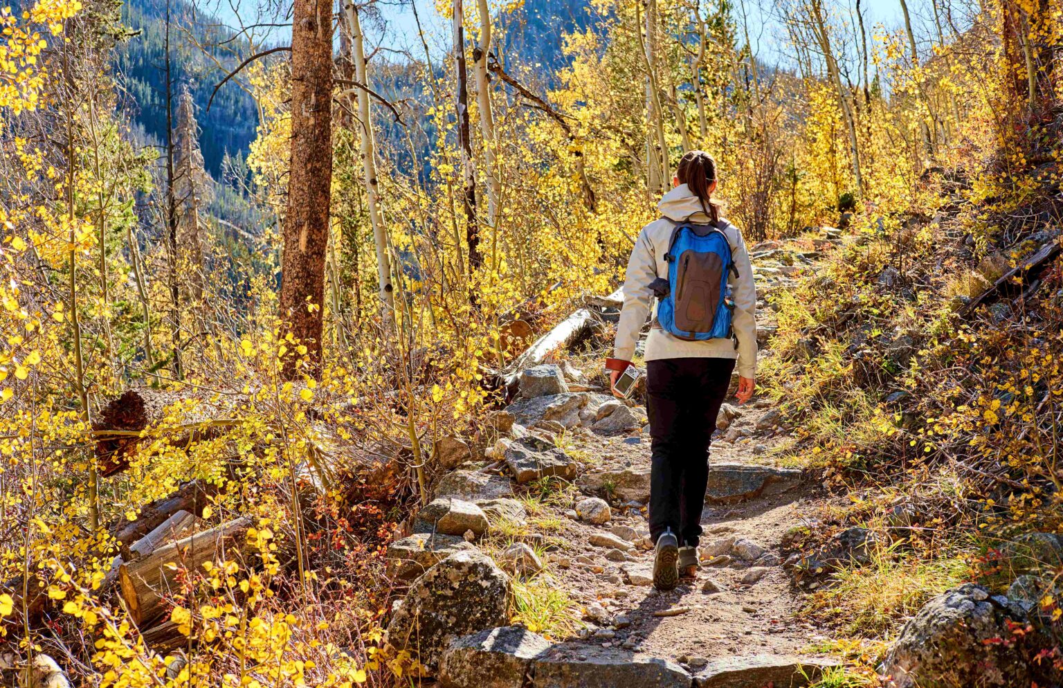 Hiking Durango CO: Trails for All Seasons